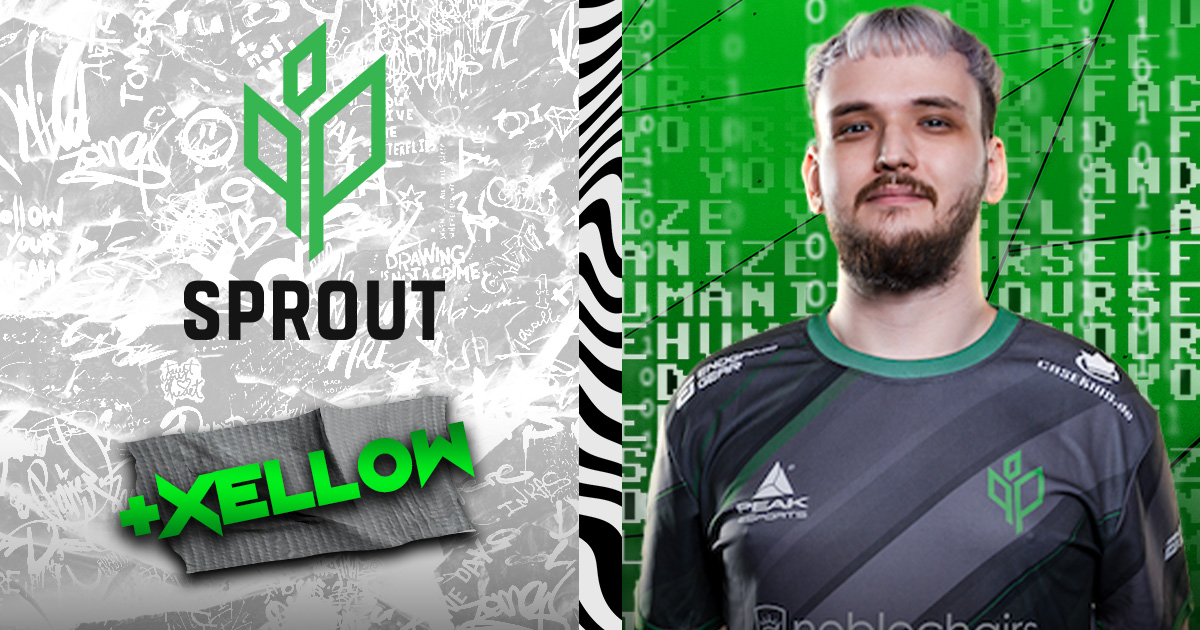 XELLOW a semnat oficial cu Sprout - Werty